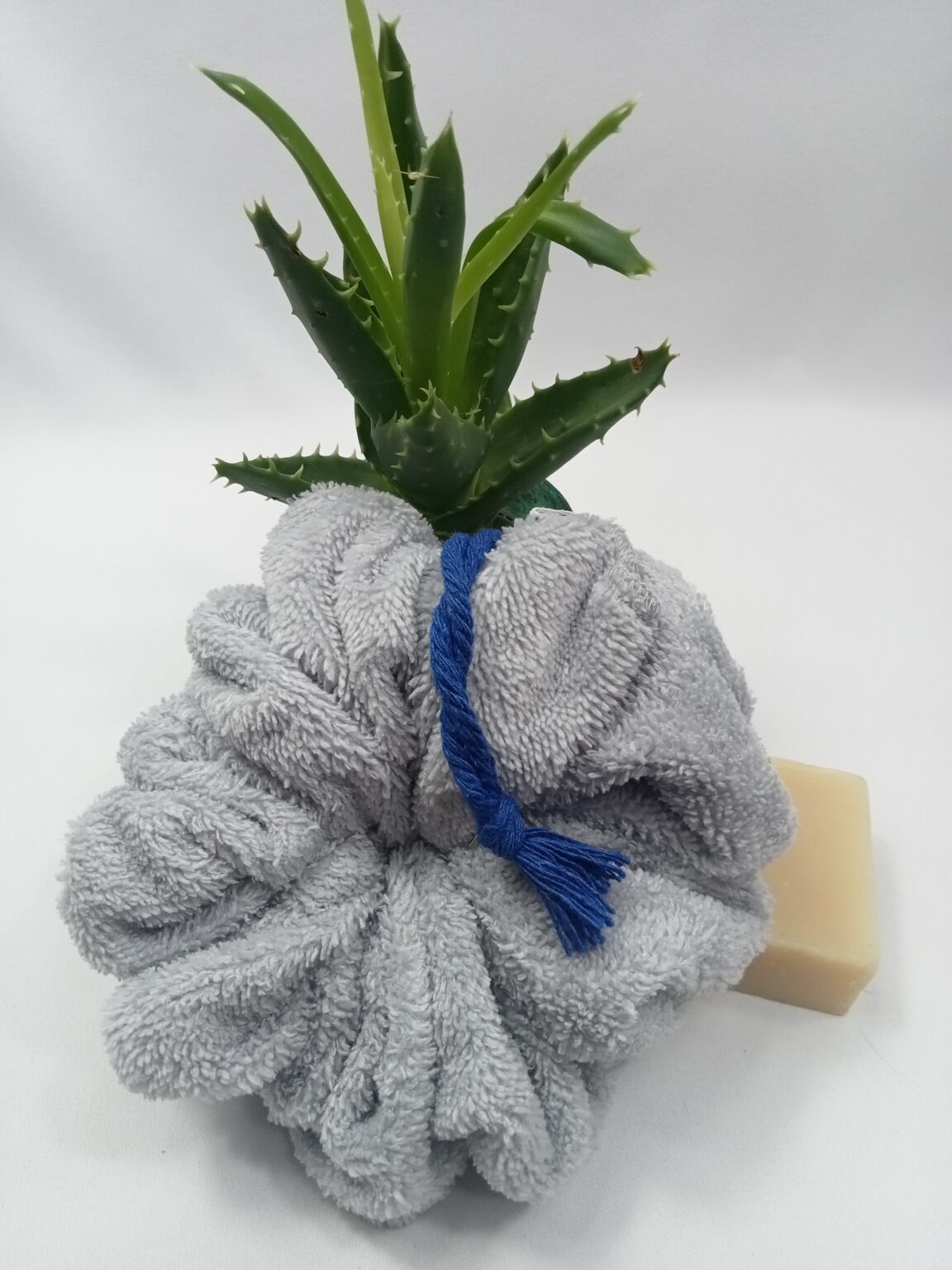 Fleur de douche - ZhenZhi